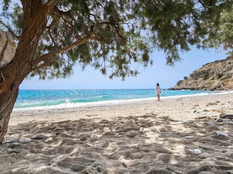The Best Jeep Safari to Lasithi Plateau - Final Thoughts: Who is This Tour Perfect For?