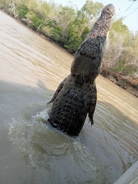 The best Litchfield Tour and the best Crocodile Cruise VIP - Key Points