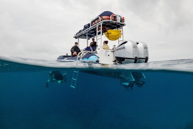 The Best Maui 3 Hour Molokini and Turtle Town Snorkel - Real Guests’ Experiences