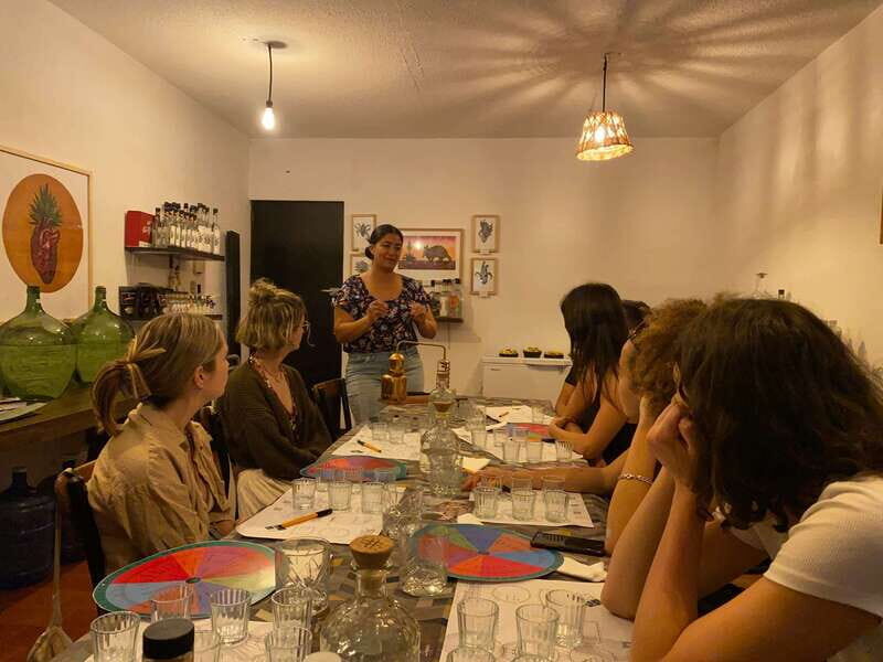 The Best Mezcal Tasting, Mezcal Tasting in Oaxaca - Who Should Consider This Tour?