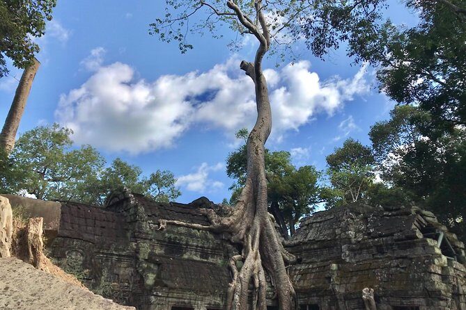 The Best of Angkor Temples 2-day Private Tour - An In-Depth Look at the Tour Experience