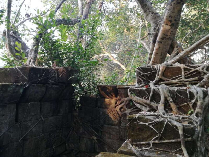 The Best of Angkor Temples 2 Day Private Tour - Final Thoughts: Is This Tour for You?