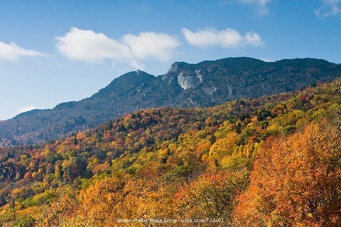 The Best of Asheville: Private 2.5-hour Walking Tour - Overview of the Tour Experience