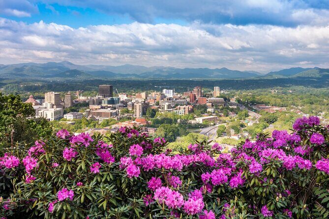 The Best of Asheville: Private 2.5-hour Walking Tour - Why This Tour Might Be Right for You