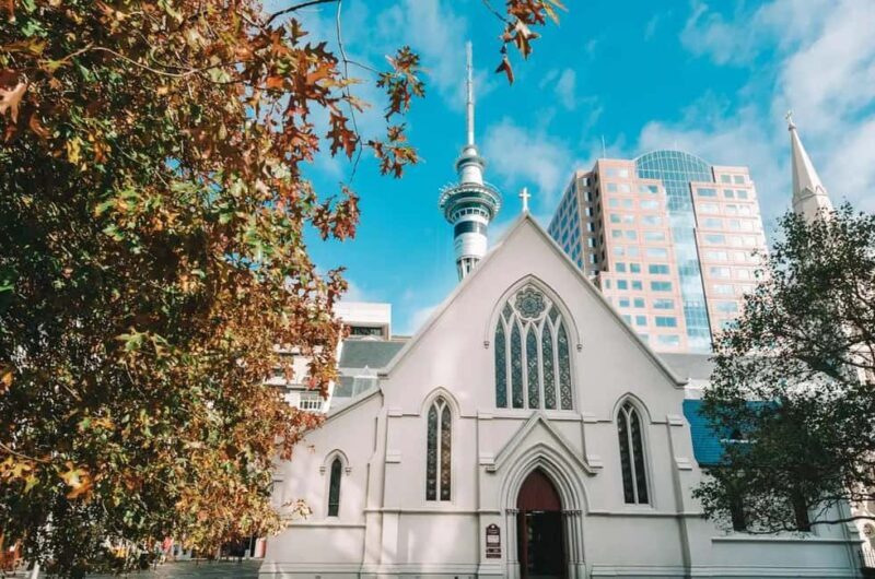 The Best of Auckland Private Walking Tour - Detailed Breakdown of the Tour