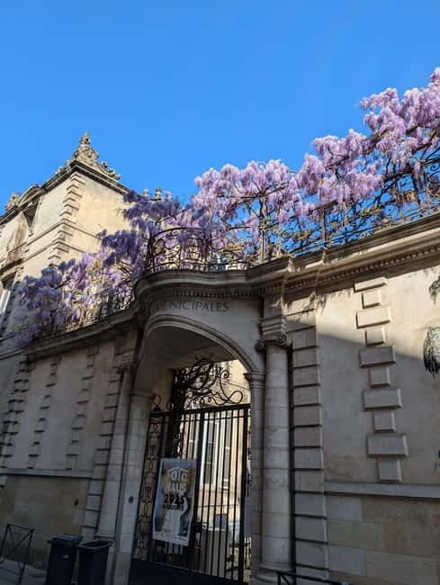 The Best of Bordeaux Walking Tour + 1 Glass of Wine - What Does the Tour Really Offer?