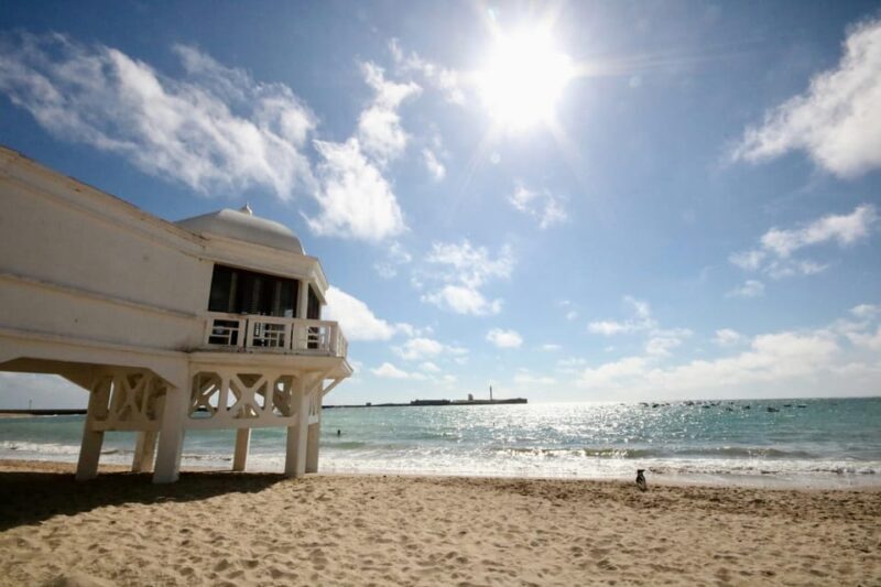 The Best of Cadiz - Private Walking Tour - Final Thoughts: Who Will Love This Tour?