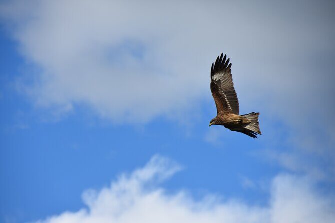 The best of Central Mongolia Guided 3 day Adventure - Authentic Experiences and Local Insights