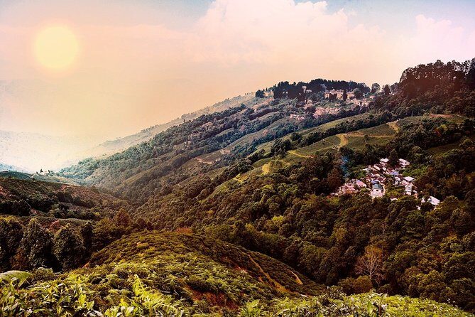 The best of Darjeeling walking tour - A Closer Look at the Experience