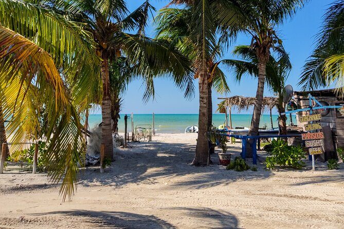 The best of Holbox from Tulum - FAQs
