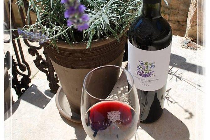 The Best of Hvar Small Group Tour with Wine Tasting and Dinner - A Scenic Drive Through Hvar’s Highlights