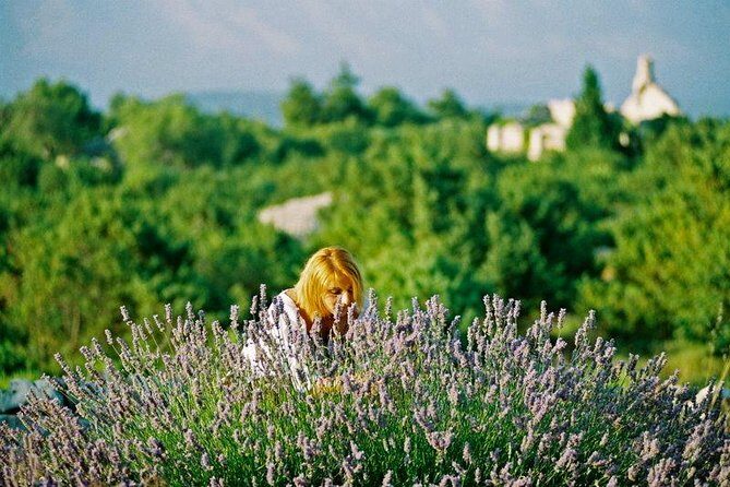 The Best of Hvar Small Group Tour with Wine Tasting and Dinner - What Reviewers Say