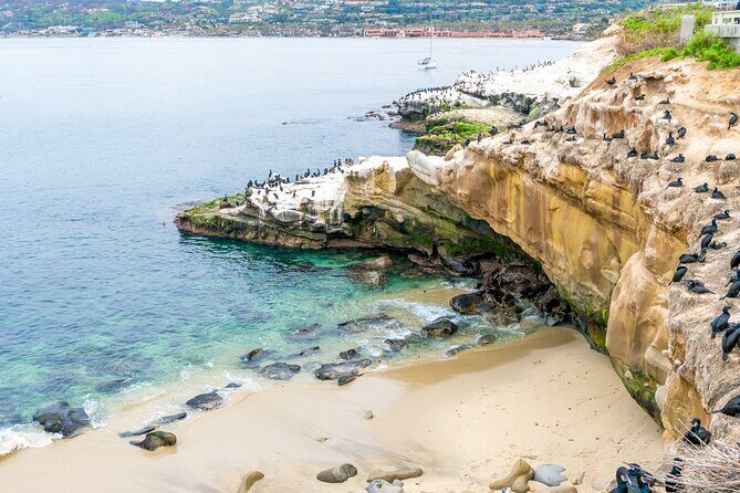 The Best of La Jolla Walking Tour: Sip, Savor & Sea - Starting Point: Sunny Jims Sea Cave and La Jolla Cove