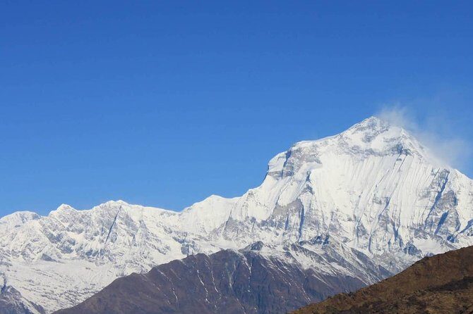 The Best of Nepal : 5-Day Trek to Ghorepani Poon Hill & Ghandruk - Authentic Reviews: What Trekkers Say