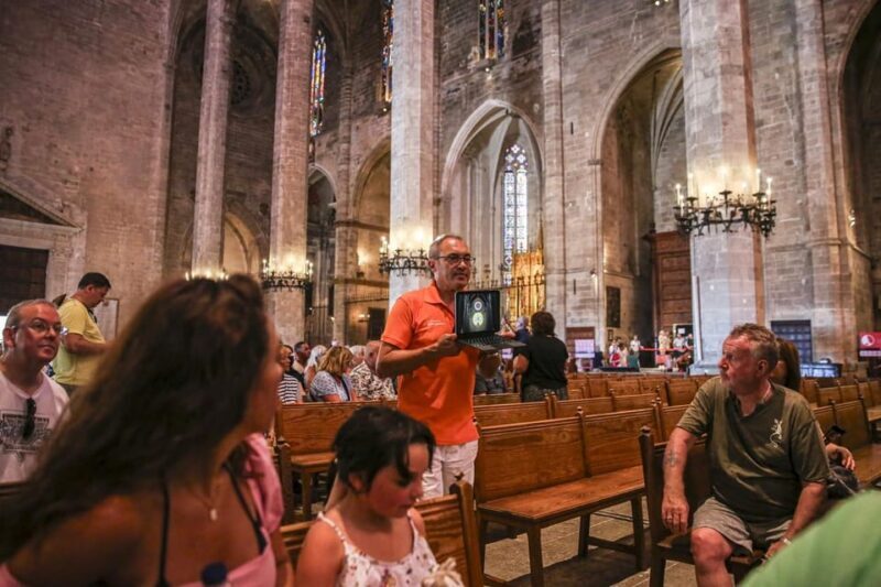 The Best of Palma: Boat trip, Walking tour and Cathedral - The Final Word