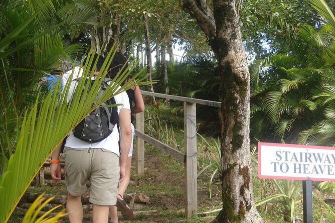 The Best of Saint Lucia Tour - Starting with the Tet Paul Nature Trail