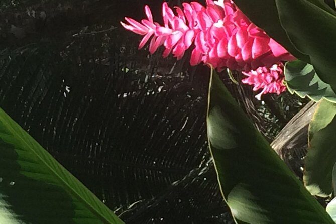 The Best of Saint Lucia Tour - Small Fishing Villages and Local Culture