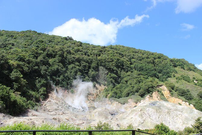 The Best of Saint Lucia Tour - What to Expect