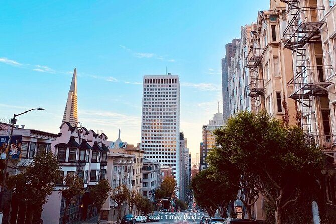 The Best of San Francisco: Private Half-Day Walking Tour - The Itinerary: A Neighborhood-by-Neighborhood Breakdown