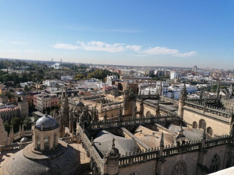 The Best of Seville: Private 2,5 Hour Walking Tour - Who Will Enjoy This Tour?