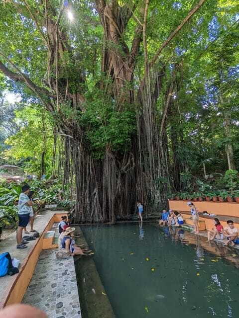 The Best of Siquijor Island Tour - Who Should Book This Tour?