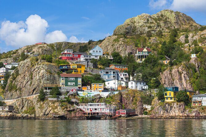 The Best of St. John's Private Walking Tour - Authentic Insights from Past Participants