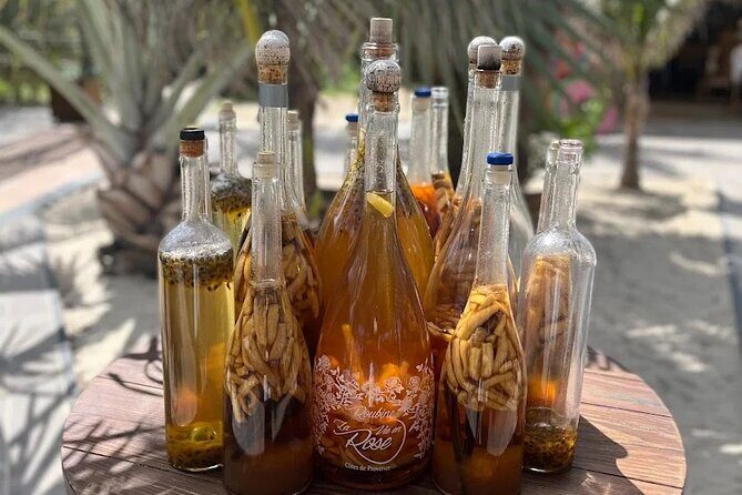 The Best of St Maarten Private Sightseeing Tour - Price and Value Analysis