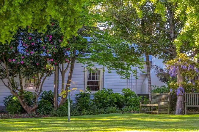 The Best of Tauranga Walking Tour - Who Should Consider This Tour?