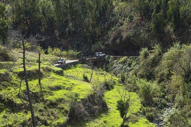 The Best of the South - Jeep Safari - Full Day - Shared Tour - What Makes This Tour Stand Out