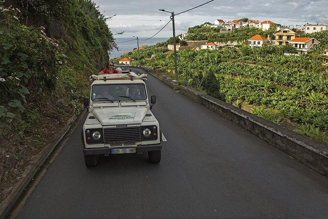 The Best of the South - Jeep Safari - Full Day - Shared Tour - The Sum Up