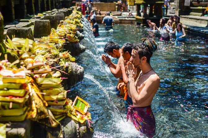 The Best of Ubud Tour and Jungle Swing - Key Points