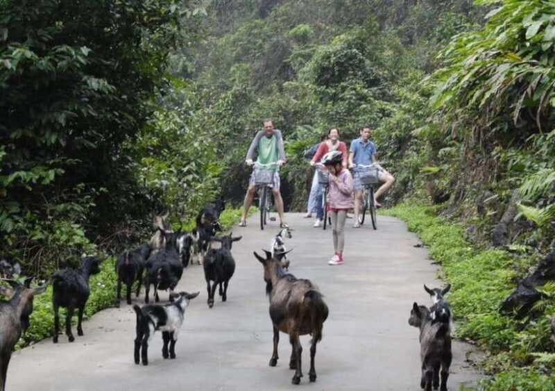 The Best Overnight Cruise Visit Lan Ha Bay, Viet Hai Village - The Sum Up