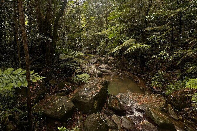 The Best Rainforest Experience in Puerto Rico - Las Pailas and Natural Rock Waterslides