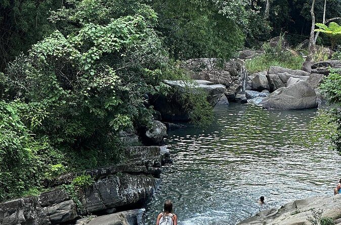 The Best Rainforest Experience in Puerto Rico - Knowledgeable and Friendly Guides