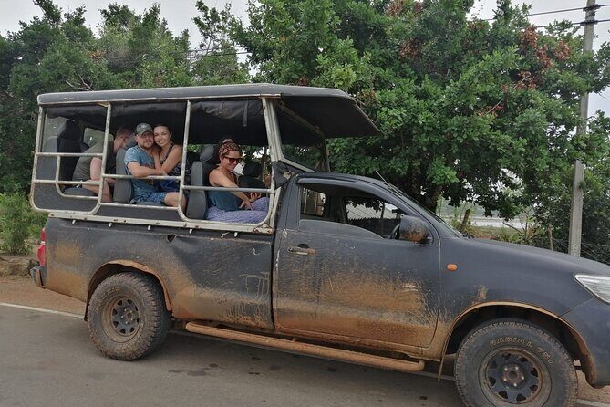 The Best Safari tour from Hambantota Port (Janaka safari) - Authenticity and Satisfaction: What Travelers Say