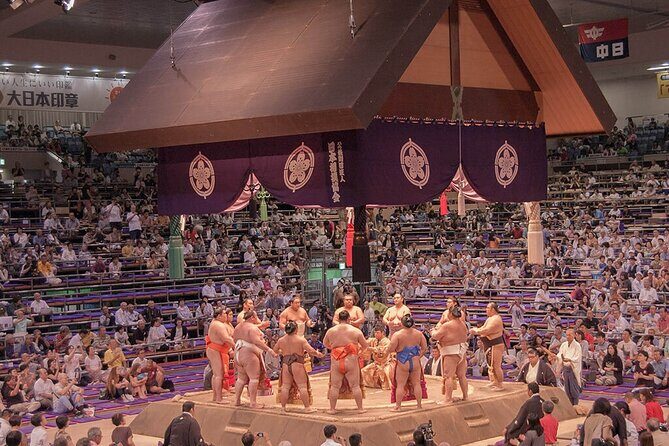 The Best Sumo Tournament Experience in Nagoya - Introduction