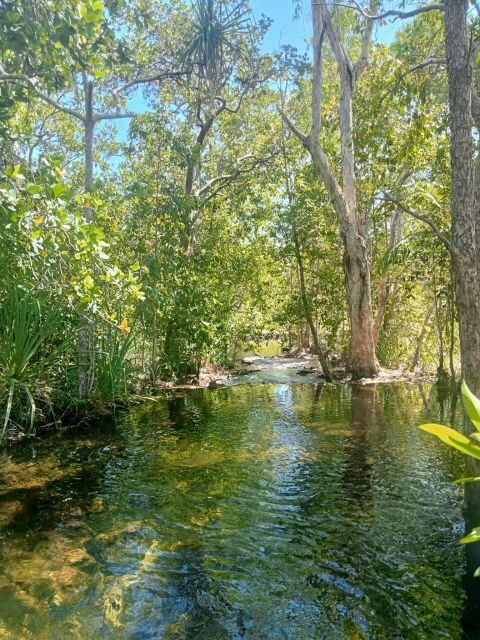 The best tour of Litchfield and crocodiles on the river - A Practical Guide to the Tour Experience