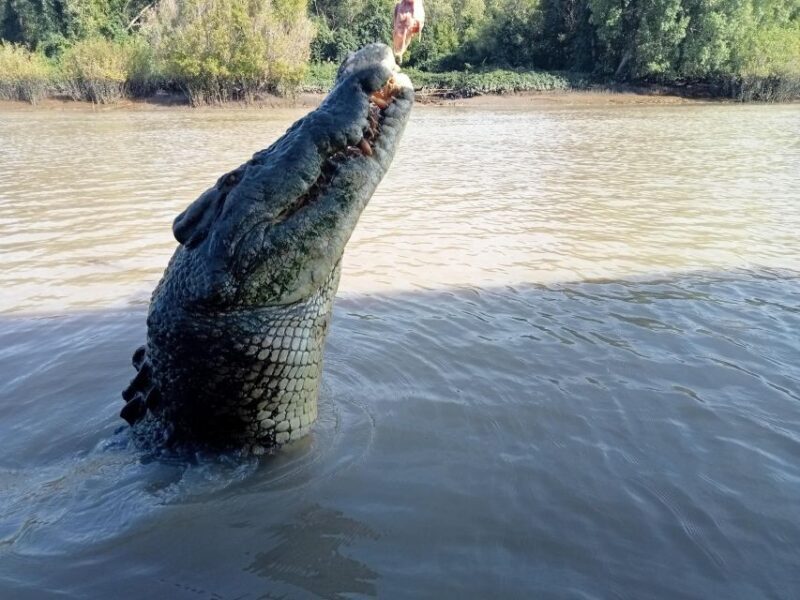 The best tour of Litchfield and crocodiles on the river - FAQ