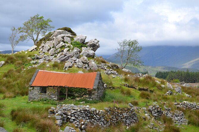 The Best Two Day Tours in Ireland: The Ring of Kerry and Dingle Slea Head Tours - Why This Tour Is Such a Hit