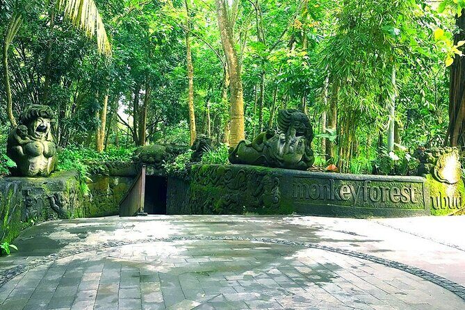 The Best Ubud Experience in a Full-Day Private Tour - Free WIFI - An In-Depth Look at the Ubud Private Tour