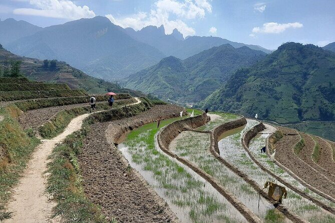 The best view and most authentic tour in Sapa (Non Touristy) - The Verdict