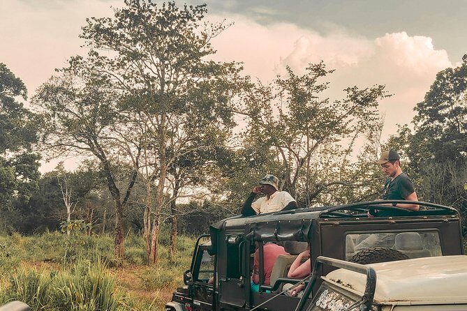 The Big 5 in Southern Coast Season (7 Days) - What Makes This Tour Stand Out?