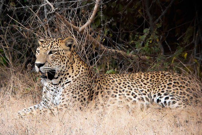 The Big 5 in Southern Coast Season (7 Days) - Who Will Love This Tour?