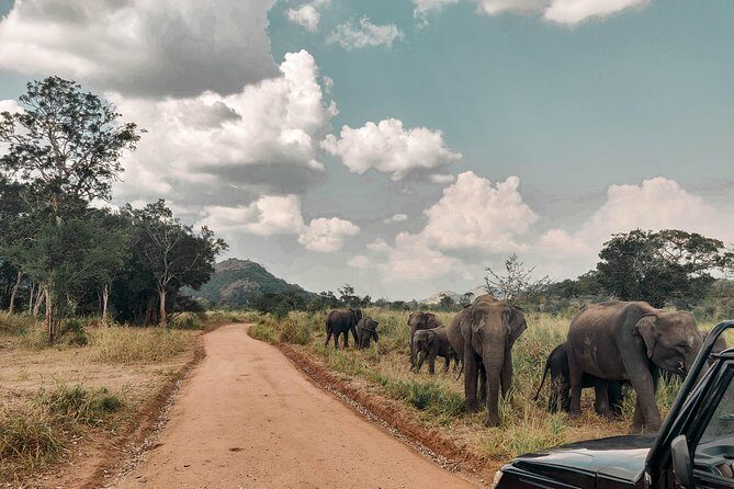 The Big 5 in Southern Coast Season (7 Days) - Final Thoughts