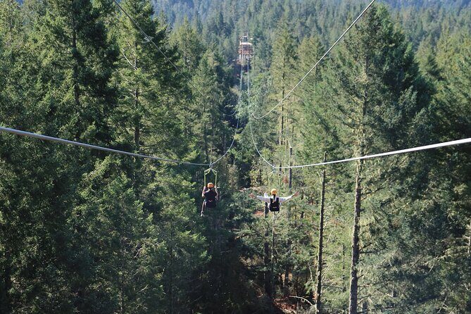 The Big Zip Experience - Why It Offers Good Value