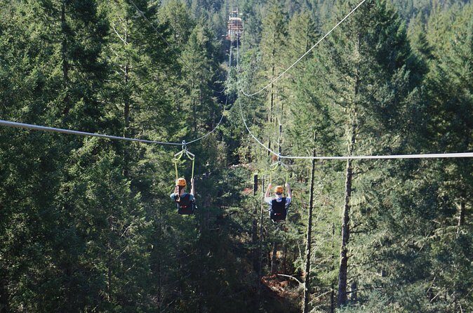 The Big Zip Experience - What Travelers Say