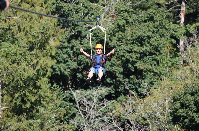 The Big Zip Experience - The Experiences Highlights & Drawbacks
