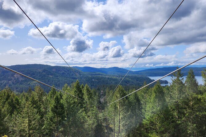 The Big Zip Experience - Post-zip Options & Nearby Attractions