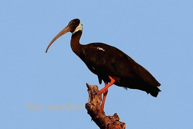 The Bird Watching private Tour and Beyond - Who Will Enjoy This Tour?