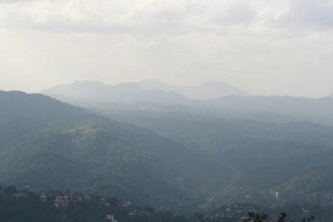 The birdwatchers quest through Hanthana Mountain Range  Kandy - Visiting the Sri Lanka Tea Industry Museum